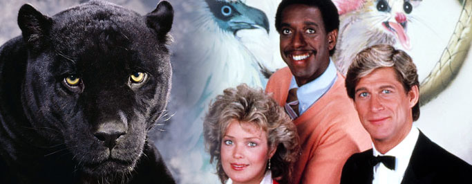 Manimal - Séries TV - TopKool